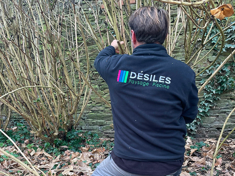 Désiles Paysage, paysagiste Rennes